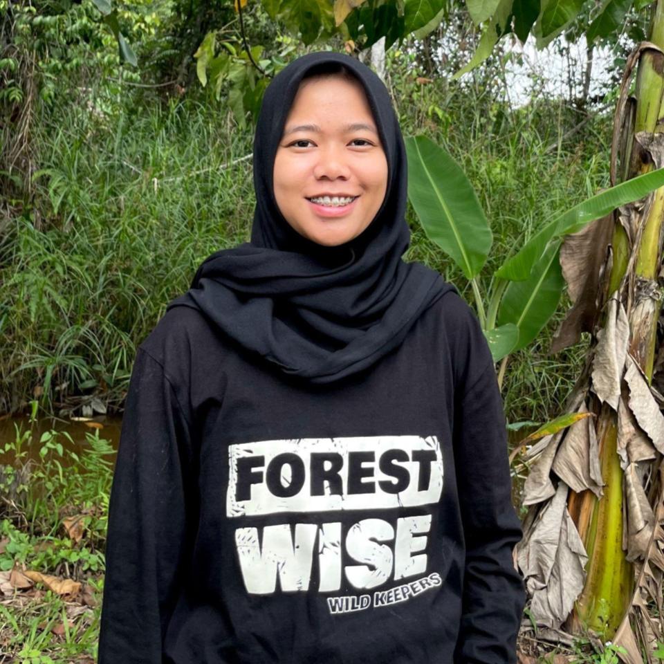 Forestwise - About us